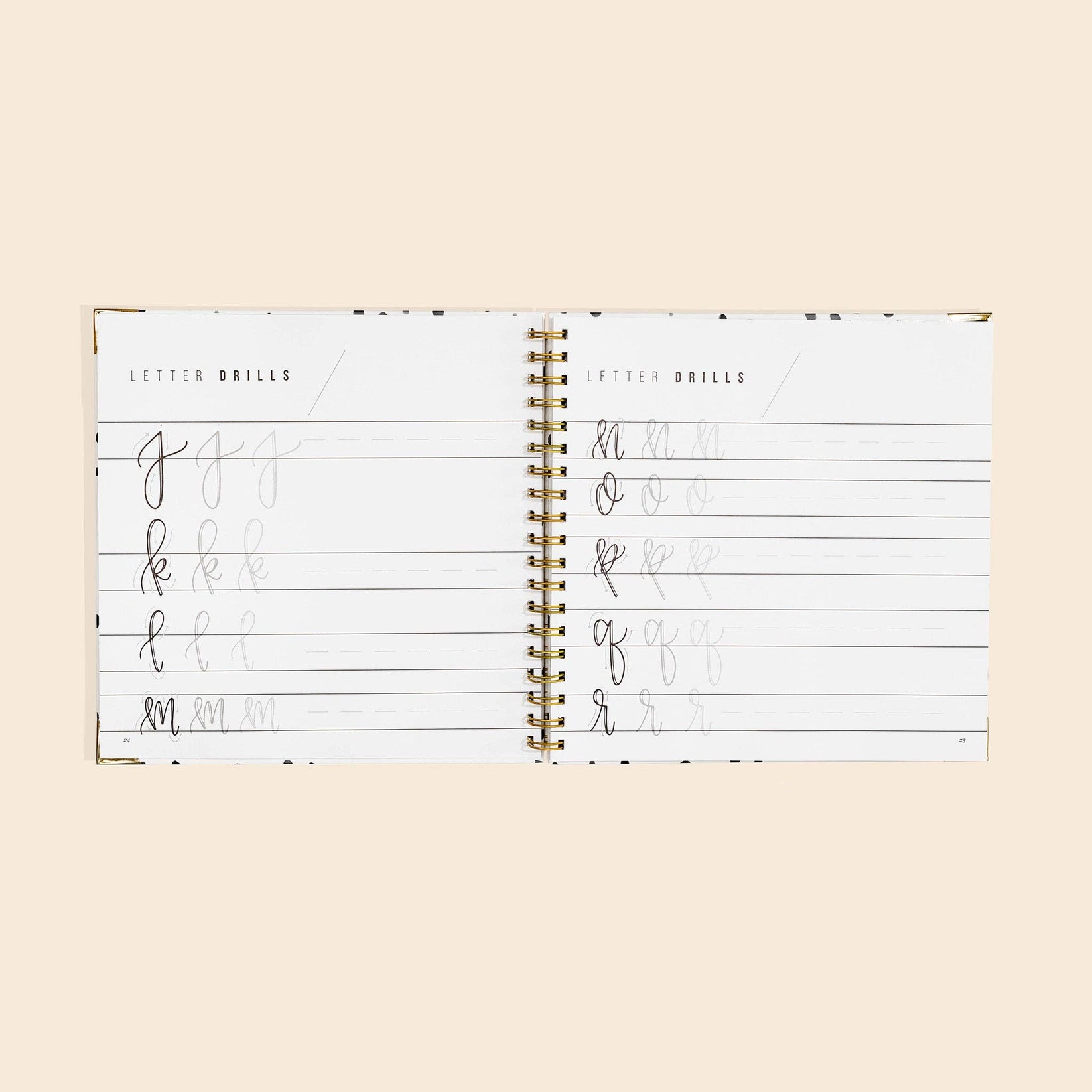 Hand Lettering 101: A Step-by-Step Calligraphy Workbook – Lineage & Leaf